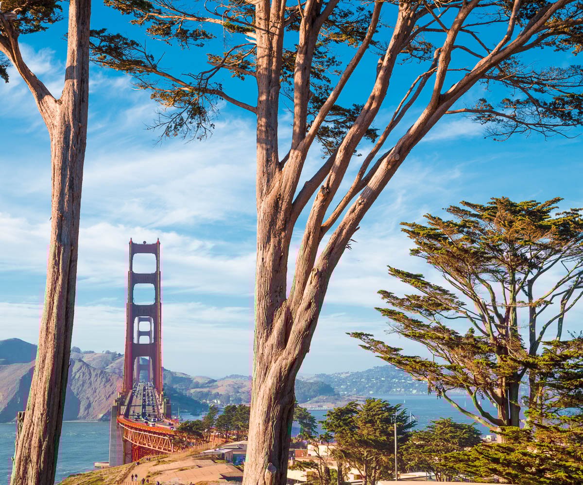 San Francisco Golden Gate Club | Romantic Wedding Venue For You