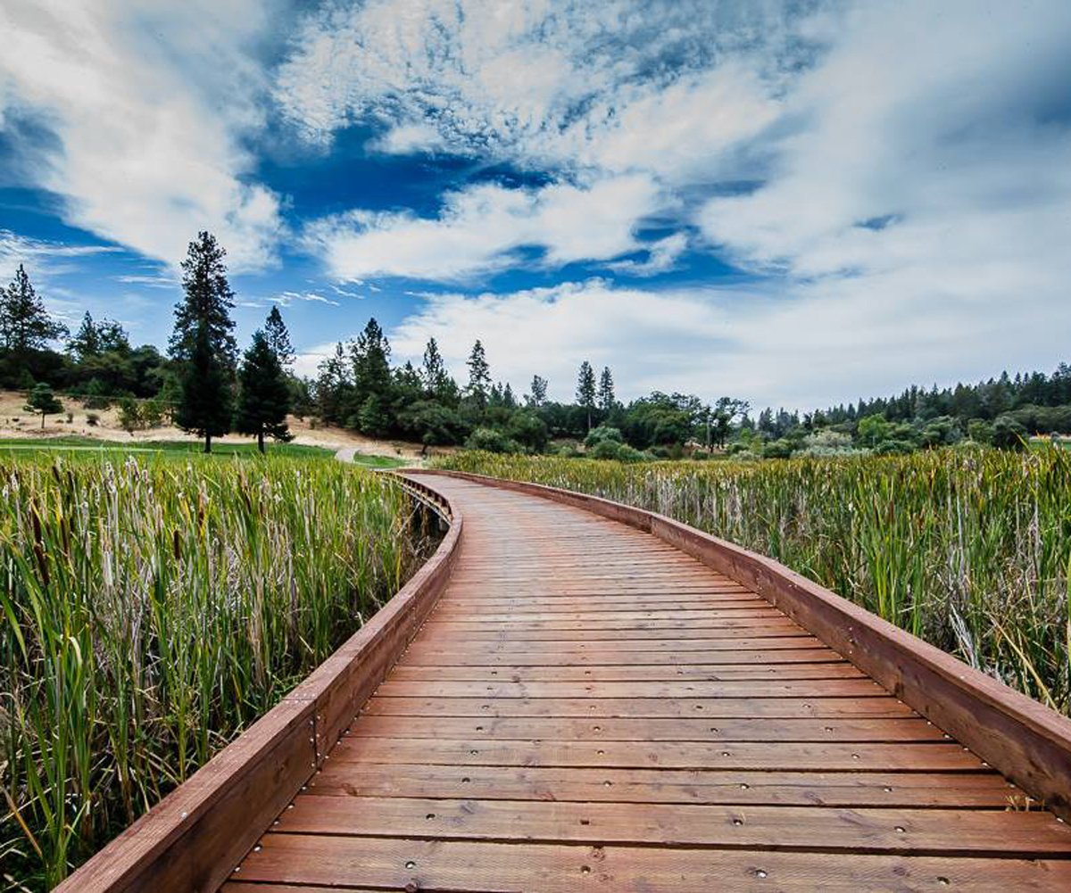 Winchester Estate by Wedgewood Weddings | Your Romantic Wedding Venue